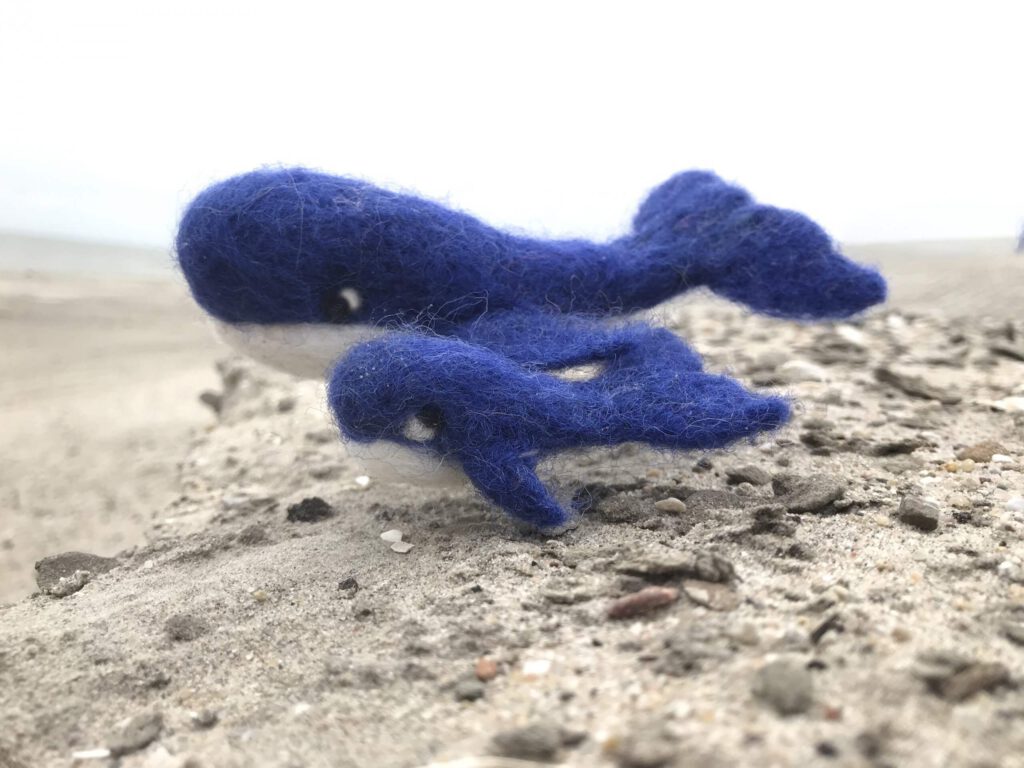 Zeedieren Naaldvilten Startpakket - Sealife - Meaningful Crafts